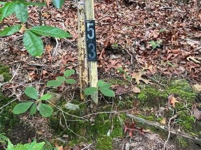 10.96 AC Paramount Trail