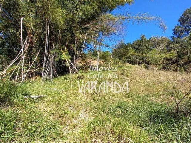 10.000m! Linda vista!