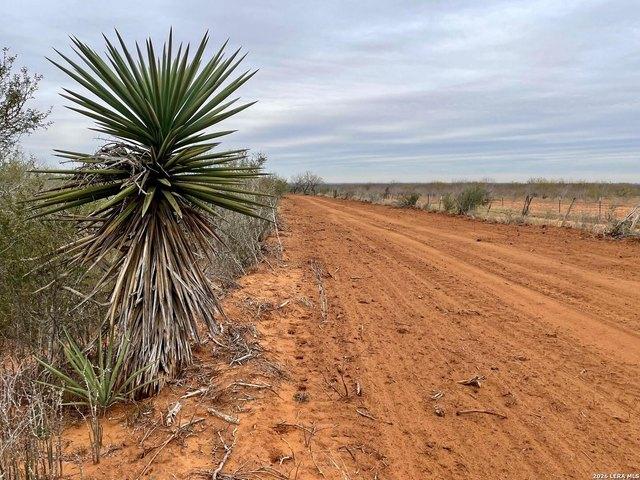 10.01 Acres County Road 2701 and Fm 140, Bigfoot, TX 78005