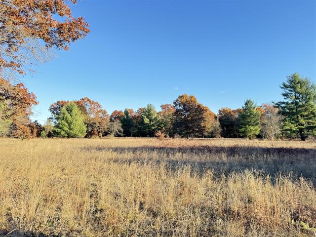 10.05ac Barberry Avenue