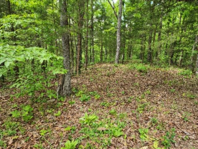 10.13ac Forest Trails