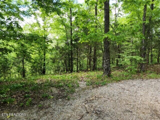 10.13ac Forest Trails Lane