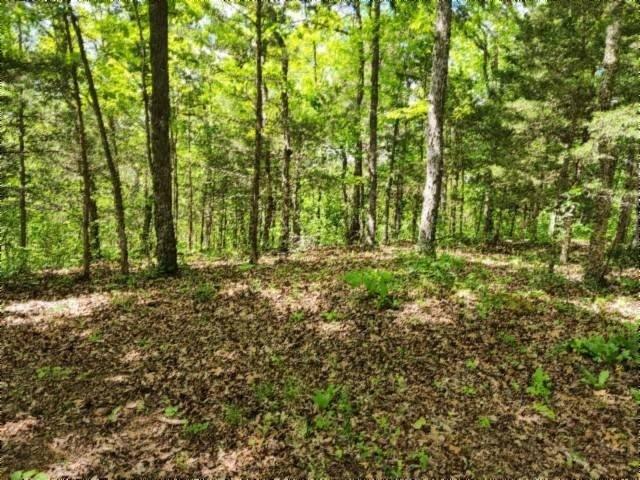 10 13AC Forest Trl, Celina, TN 38551