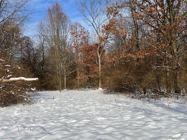 10.10 Acres Laur, Deerfield, MI 48461