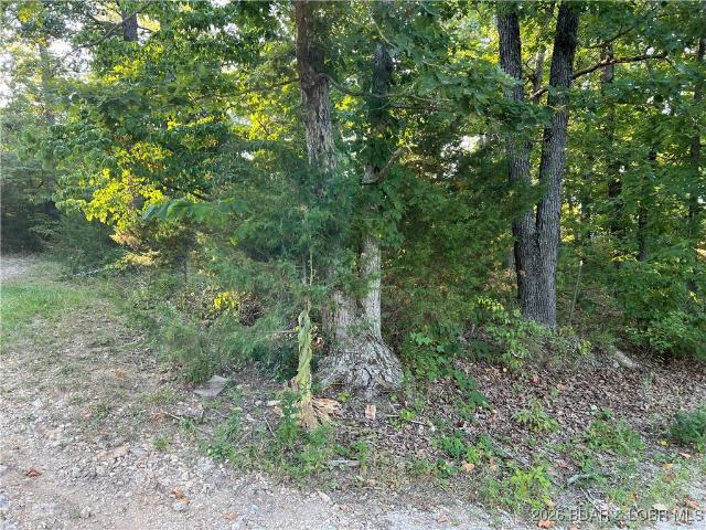 10 11 12 25 2 Lake, Stover, MO 65078 | MLS #3583