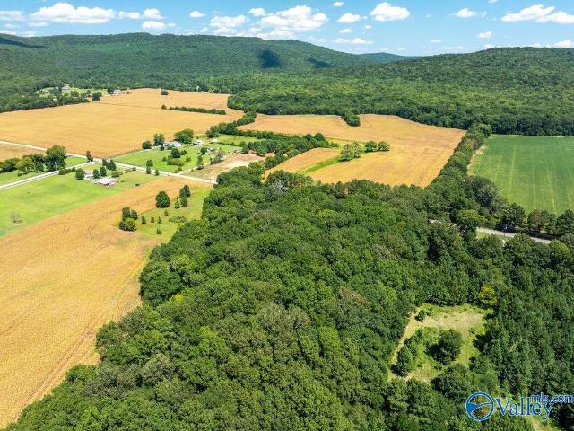 10.11 acres Old Gurley Pike