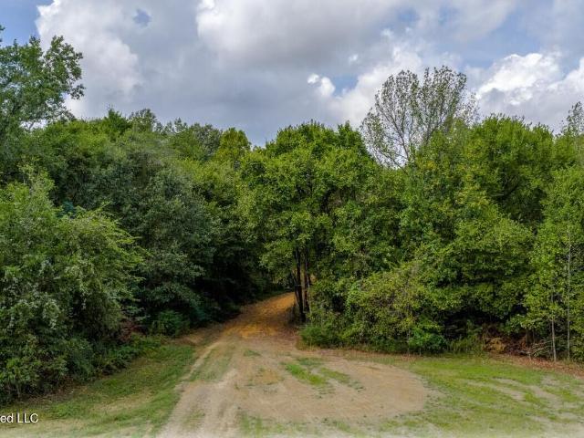 10 1/2 Acres Smith, Hernando, MS 38632