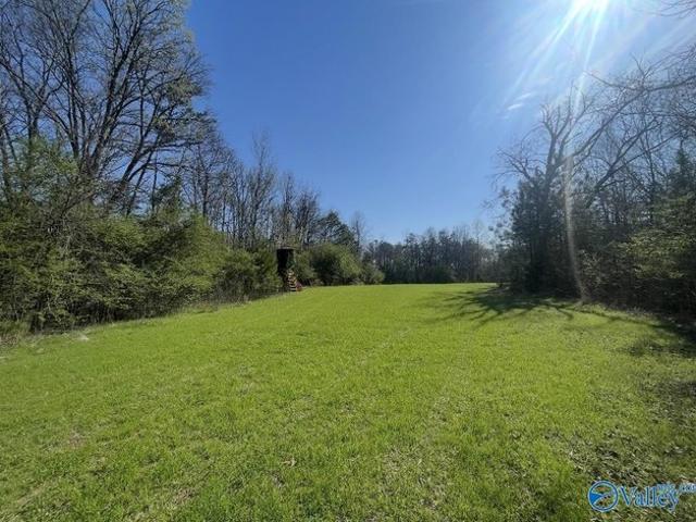 10.23 Acres Bishop Mountain Rd, Grant, AL 35747