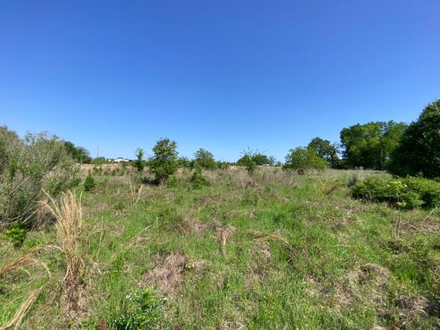 10.25 Acres Mustang Loop
