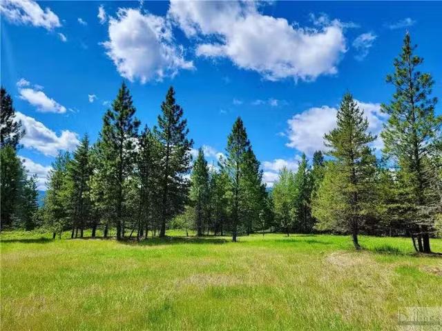 10 Timber Lane, Other See Remarks, MT 59873 646972124