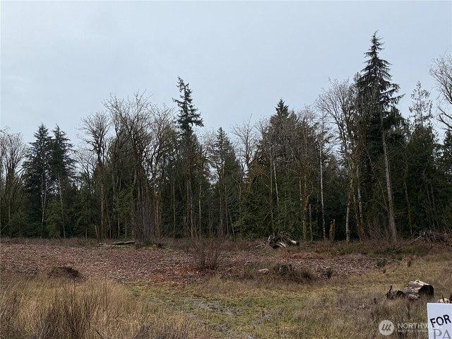 10 Track Rimstone Loop, Belfair, WA 98528