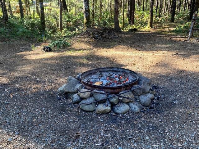 10 Tyee Pl, Hoodsport, WA 98548 | MLS #2475
