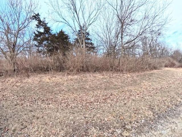 10 Wherry Dr, Putnam, IL 61560