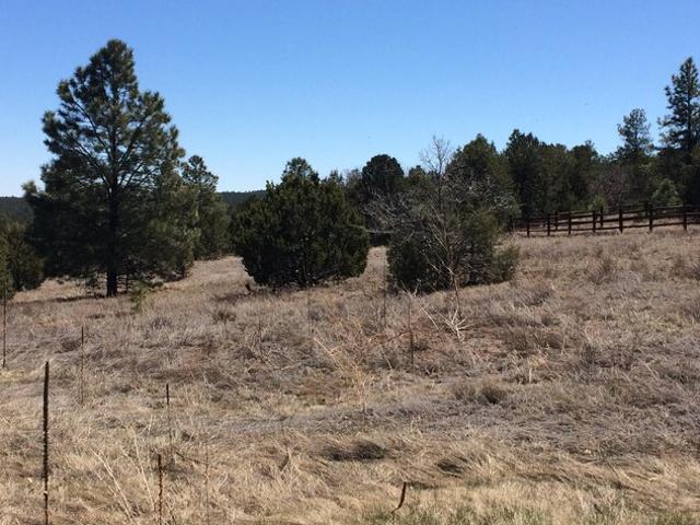 10 Woodland Ct, Tijeras, NM 87059