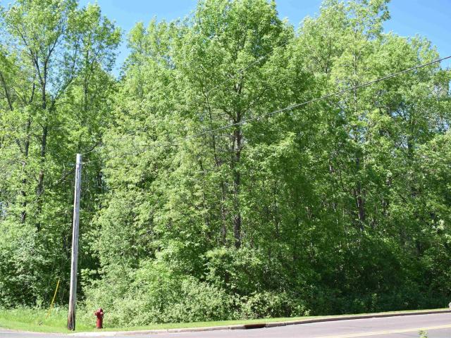 10 xx W Bigelow St, Washburn, WI 54891 | MLS #6119 | Compass