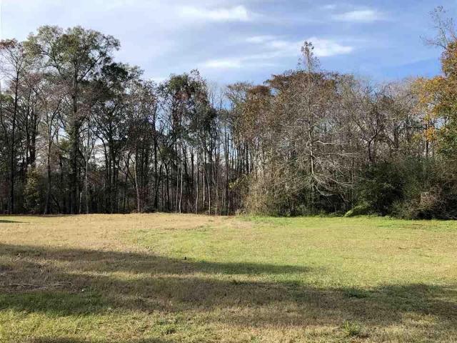 10 A Bear Bluff Dr, Conway, SC 29526 | MLS #2025