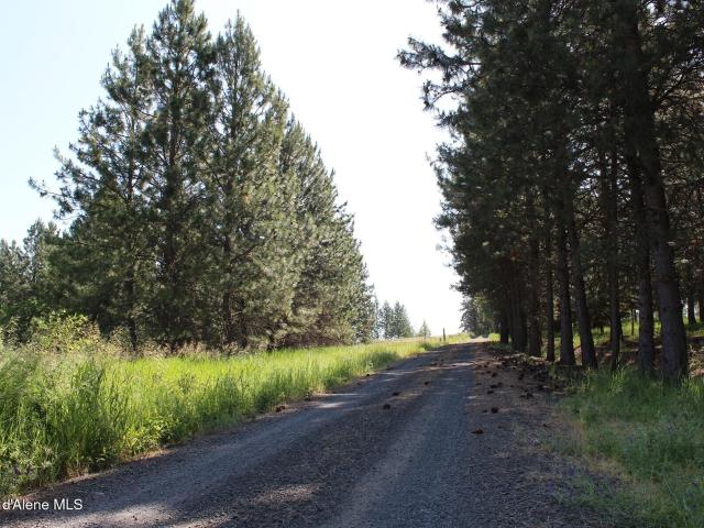 10 A Honor Rd, Harrison, ID 83833 | MLS #26 1237