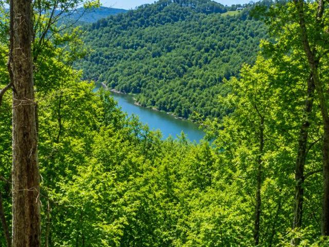 10 AC Jimmy Reneau Rd