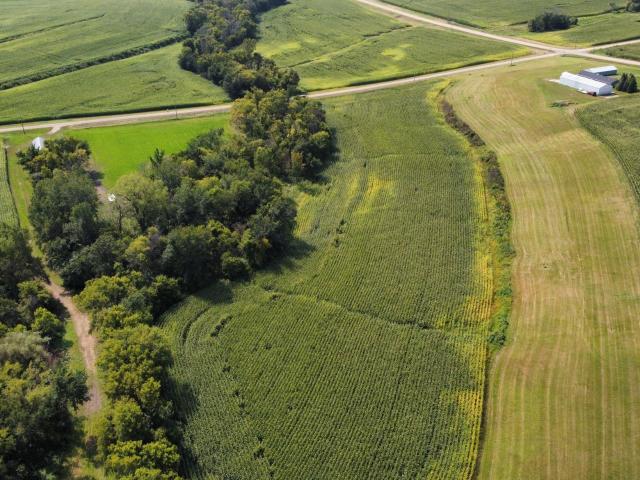 10 ac lot 10 ac Ln, Henderson, MN 56044 | MLS #7036 | Compass