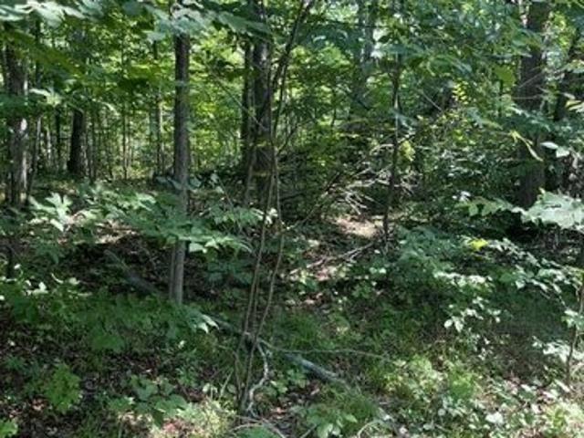 10 Ac N Sherman Rd, Frederic, MI 49733