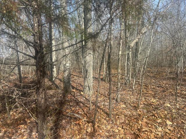 10 ac Old Beaty Pvt Road