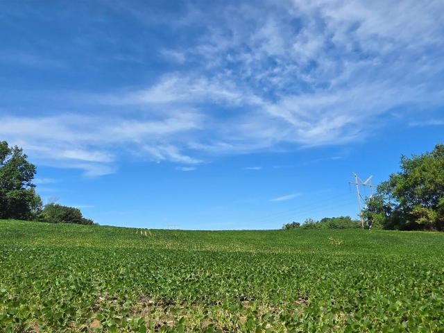 10 Acres 800 E 100 N Road