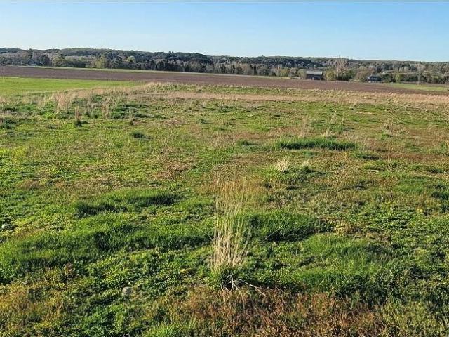 10 Acres +/ 3 Mile Road