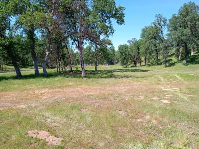 10 Acres Two Feathers Road