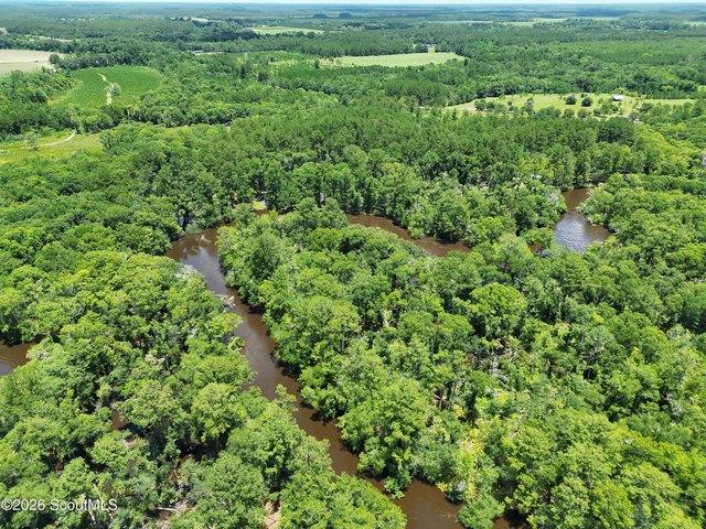 10 Acres Wildcat Satilla River Ln, Waycross, GA 31503