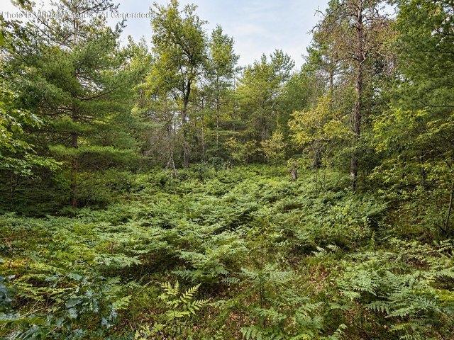 10 Acres Bear Lake Rd, Johannesburg, MI 49751