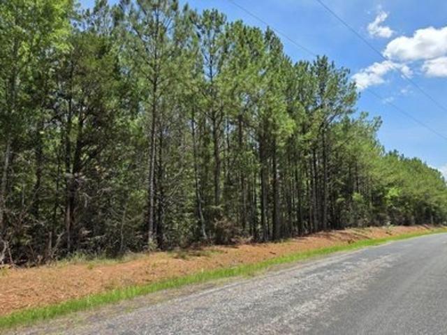 10 Acres Chestnut Ridge Rd, McCormick, SC 29835