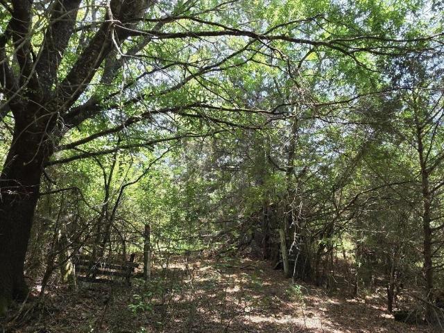 10 Acres Chestnut Ridge Road