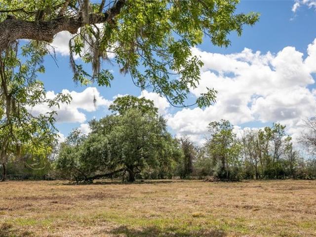 10 Acres County Road 320, Brazoria, TX 77833