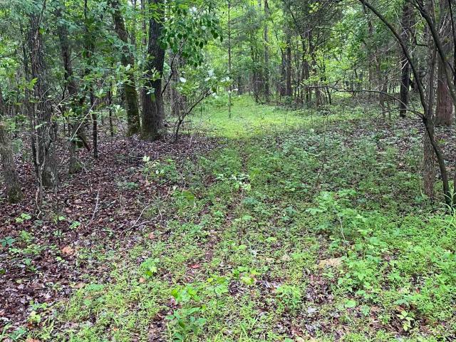 10 acres county road 326