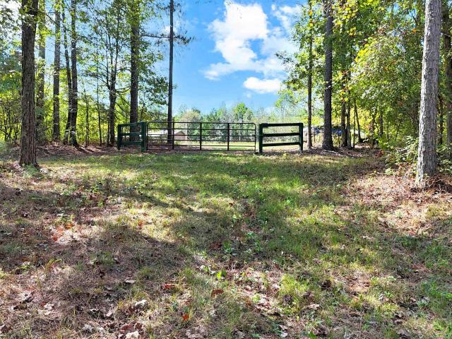 10 Acres Davis Gap Road