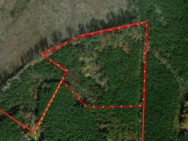 10 Acres Diguardi Dr, Dolphin, VA 23843