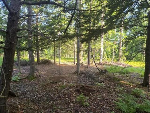 10 Acres E Free Soil Rd, Free Soil, MI 49411