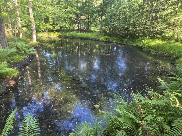 10 acres E Free Soil Road