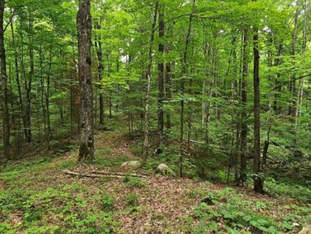 10 Acres Five Cent Rd, Gleason, WI 54435