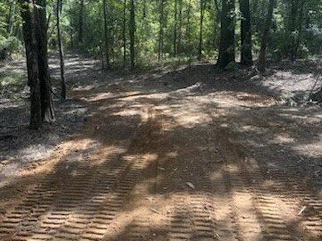10 Acres Fm 852, Gilmer, TX 75644