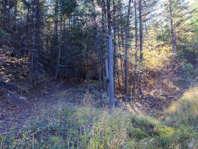 10 Acres Gut Creek Rd, Rexford, MT 59930