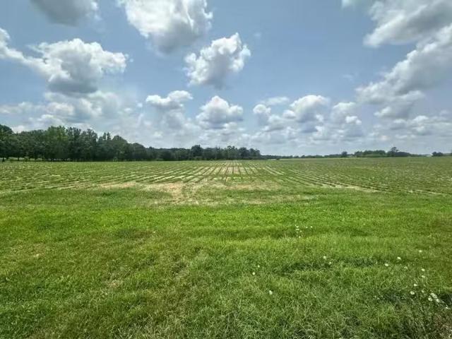 10 ACRES LOT 4 J SAUNDERS, DOTHAN, AL 36305