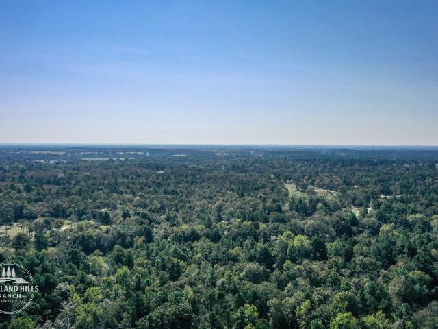10 Acres Lot 81 Woodland Hills Ranch