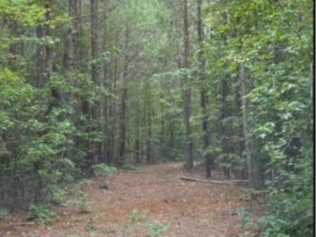 10 Acres Old Edgefield Road