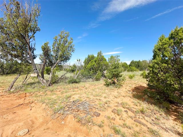 10 Acres On County Road B26D