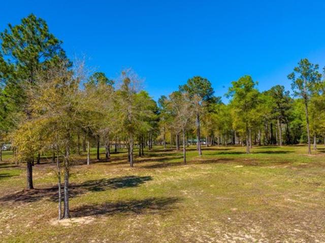 10 Acres S Cannon Dr, Paxton, FL 32538