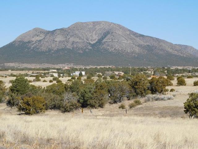 10 Alba Prado Court, Sandia Park, NM 87047