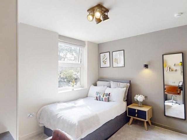 10 bedroom house share to rent