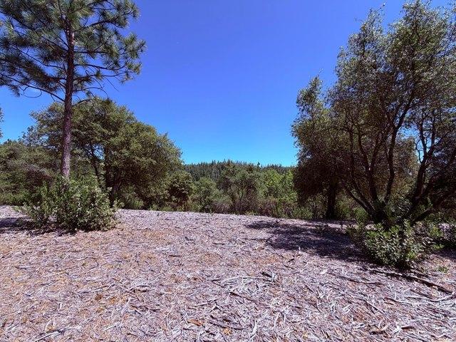 10 Big Oak Ct, Placerville, CA 95667