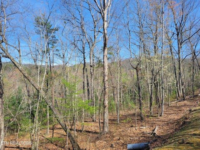 10 Black Oak Dr, Sevierville, TN 37876